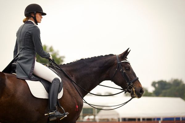 CORE EQUESTRIAN - Horseback Riding - 3674 Sand Hill Rd, Woodside, CA ...