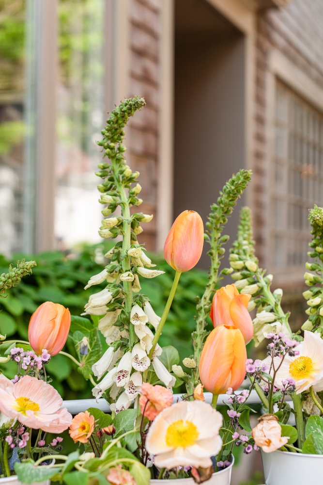 SEA HOLLY STUDIO - Request Information - Nantucket, Massachusetts ...