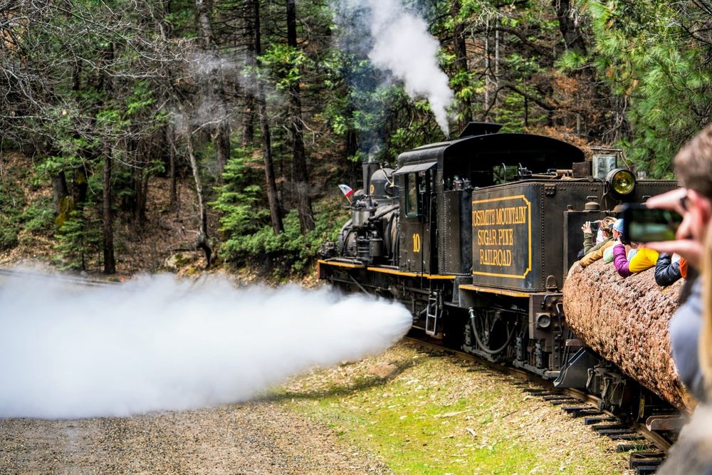 YOSEMITE MOUNTAIN SUGAR PINE RAILROAD - 336 Photos & 157 Reviews ...