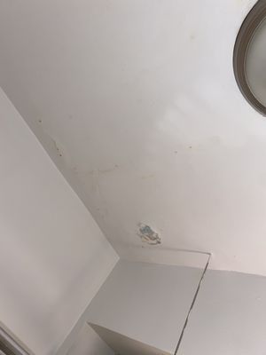 MAC PROPERTIES - Updated August 2024 - 241 Photos & 503 Reviews - 1364 ...