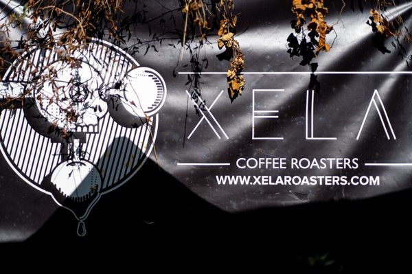 XELA COFFEE ROASTERS - Updated July 2024 - 107 Photos & 70 Reviews ...