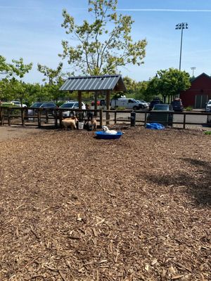 HAZELIA FIELD DOG PARK - Updated July 2025 - 86 Photos & 64 Reviews ...