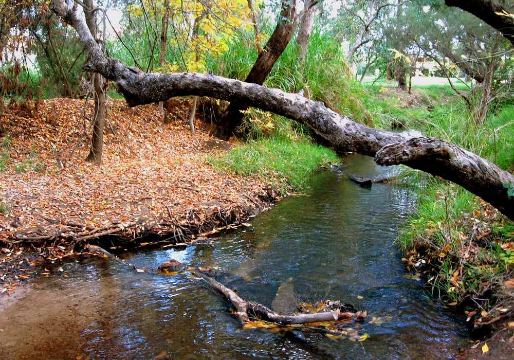 RUSHTON PARK - Updated November 2025 - Orlando Rd, Kelmscott Western ...