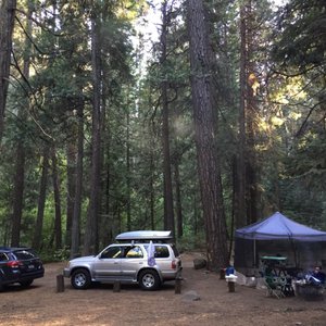 PIPI CAMPGROUND - 110 Photos & 39 Reviews - Pioneer, California ...
