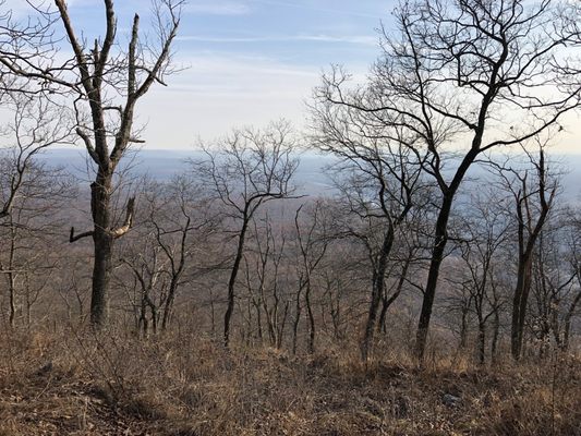 WORTHINGTON STATE FOREST - 168 Photos & 41 Reviews - 2 Old Mine Rd ...