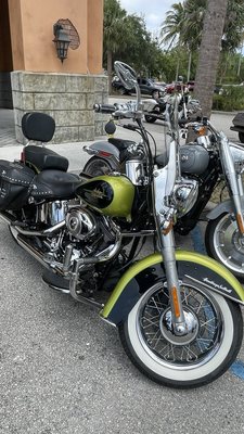 TREASURE COAST HARLEY-DAVIDSON - Updated November 2025 - 28 Photos & 82 ...