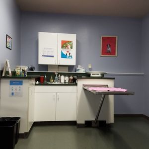 WHATCOM HUMANE SOCIETY - Updated June 2025 - 124 Photos & 42 Reviews ...