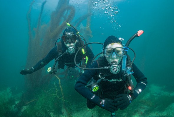 LA JOLLA DIVE - Updated November 2024 - 35 Photos & 93 Reviews - 2144 ...