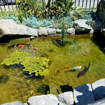 PACIFIC ISLAND ETHNIC ART MUSEUM - Updated November 2024 - 52 Photos ...