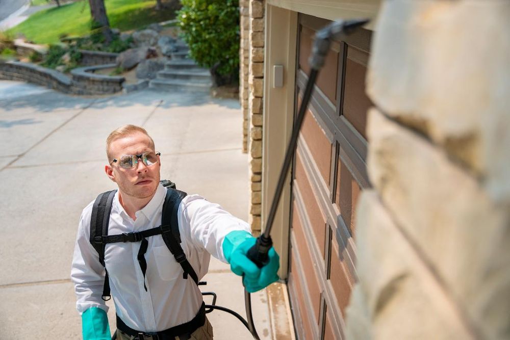 PESTMASTER MIAMI WEST - Updated March 2025 - Request a Quote - 17 ...