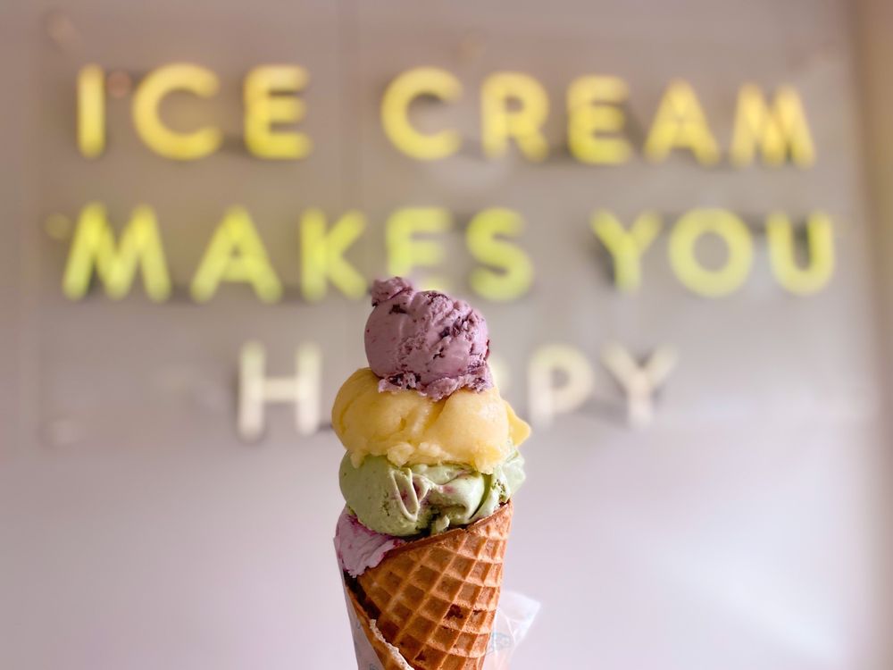 MOLLY MOON’S HOMEMADE ICE CREAM - Updated March 2025 - 618 Photos & 473 ...