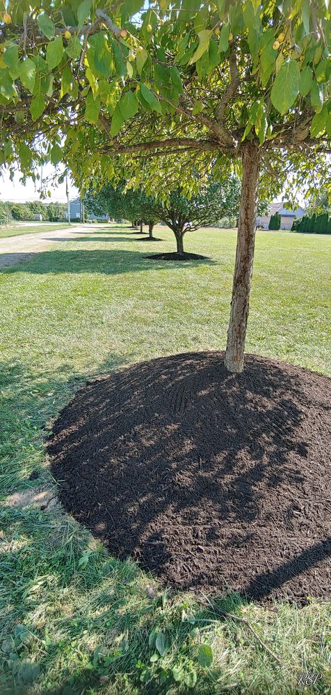 EVERGREEN LANDSCAPING OF CINCINNATI - 37 Photos - 5438 Kyles Station Rd ...