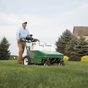 Lawn doctors near me store