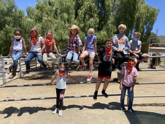 LAUGHING PONY RESCUE - Updated December 2025 - 16 Photos & 18 Reviews ...