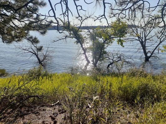 CARTER LAKE MARINA - Updated September 2025 - 20 Photos & 26 Reviews ...