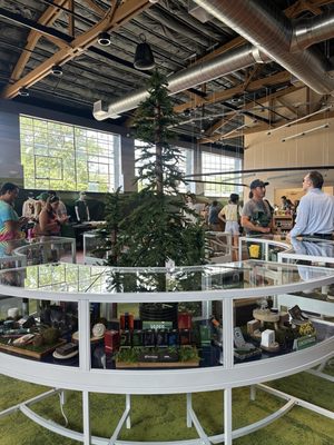 BOONE TOWN PROVISIONS - Updated May 2026 - 677 Myrtle Ave, Boonton, New ...