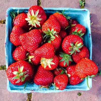 DOUD ORCHARDS - Updated October 2025 - 12 Reviews - 8971 N State Rd 19 ...