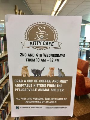 PFLUGERVILLE COMMUNITY LIBRARY - Updated December 2025 - 32 Photos & 34 ...