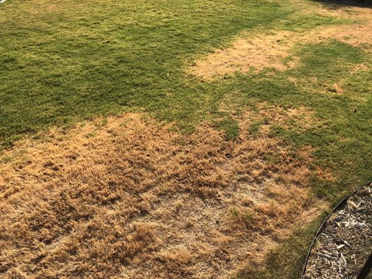 ANDY’S SPRINKLER, DRAINAGE & LIGHTING - Updated October 2025 - 31 ...