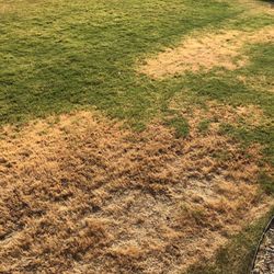 ANDY’S SPRINKLER, DRAINAGE & LIGHTING - 29 Photos & 99 Reviews - 3210 ...