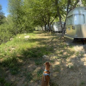 SEQUOIA RV RANCH - Updated September 2025 - 135 Photos & 112 Reviews ...