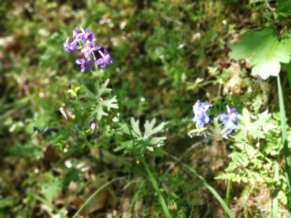 PURDON’S CROSSING - Updated October 2025 - 15 Photos - Purdon Rd ...