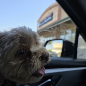 TEXAS COALITION FOR ANIMAL PROTECTION - HURST - Updated October 2025 ...