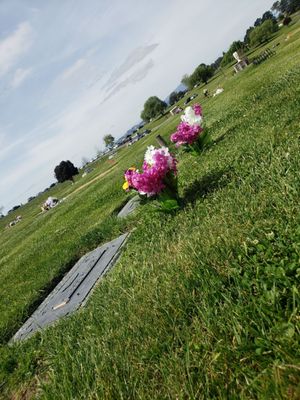 ROLLING HILLS MEMORIAL PARK - Updated March 2025 - 165 Photos & 98 ...