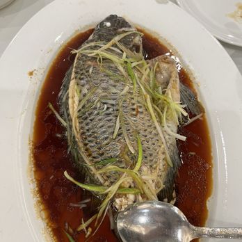 GRAND HARBOR - Updated July 2025 - 1902 Photos & 449 Reviews - 5733 ...