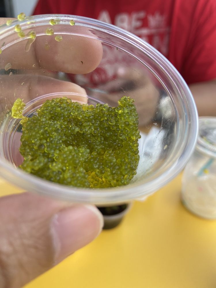 ALOHA FISH COMPANY - 12 Photos - 370 Herron Dr, Nashville, TN - Yelp