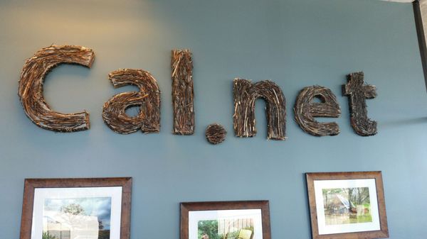 CAL NET - Updated October 2025 - 21 Photos & 115 Reviews - 4101 Wild ...