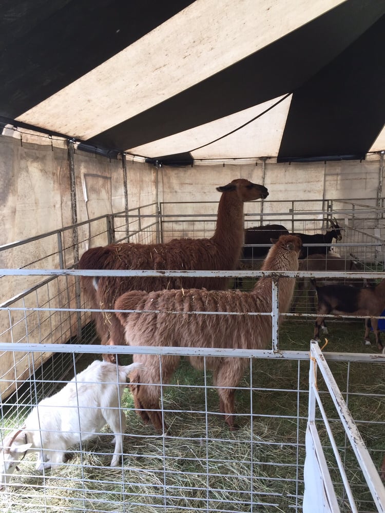 CARMAN COUNTY FAIR - Updated January 2025 - 44 Ed Belfour Drive, Carman ...