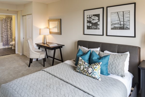 THE ALEXANDER APARTMENTS - Updated October 2025 - 4390 King St ...