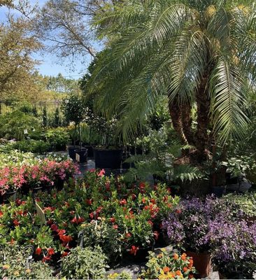 BASTIDE HOME AND GARDEN - Updated November 2025 - 36 Photos - 17 ...