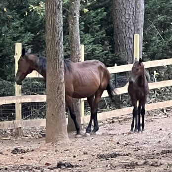 CLOVERLAND RANCH - Updated January 2026 - 40 Photos & 22 Reviews - 351 ...