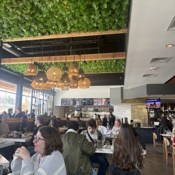 MEDDYS - Updated May 2025 - 105 Photos & 35 Reviews - 17255 Davenport ...