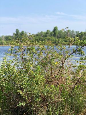 LAKE PARK - Updated April 2025 - 91 Photos & 27 Reviews - 17302 Dale ...
