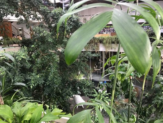 DOWNTOWN RENO LIBRARY - Updated May 2024 - 70 Photos & 33 Reviews - Yelp