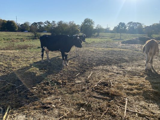 HISTORIC WAGNER FARM - Updated December 2025 - 160 Photos & 69 Reviews ...