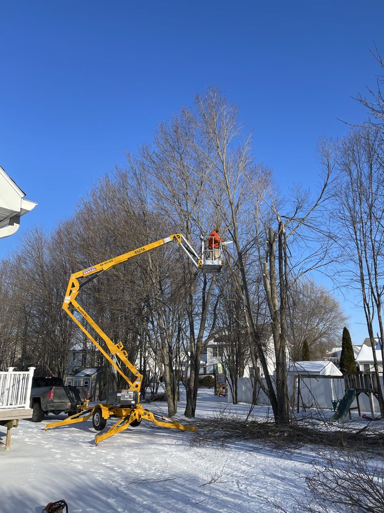 G & G LANDSCAPE DESIGN - Updated October 2025 - 21 Photos - Latham, New ...