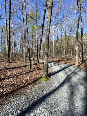 CHESTNUT SQUARE PARK - Updated March 2025 - 33 Photos - 320 Chestnut ...