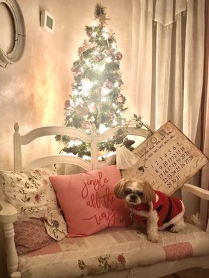 COTTOM FARM’S CHRISTMAS VILLAGE - Updated December 2025 - 25 Photos ...