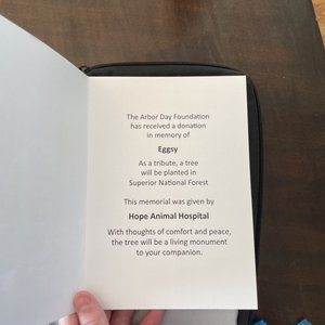 HIGH RIDGE ANIMAL HOSPITAL - 2612 Gravois Rd, High Ridge, Missouri ...