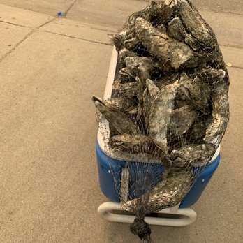 MODESTO FISH - Updated August 2024 - 39 Photos & 18 Reviews - 5616 ...