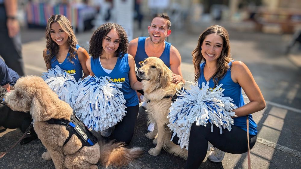 TOP PERFORMANCE DOG TRAINING - Updated October 2025 - 23 Photos & 31 ...