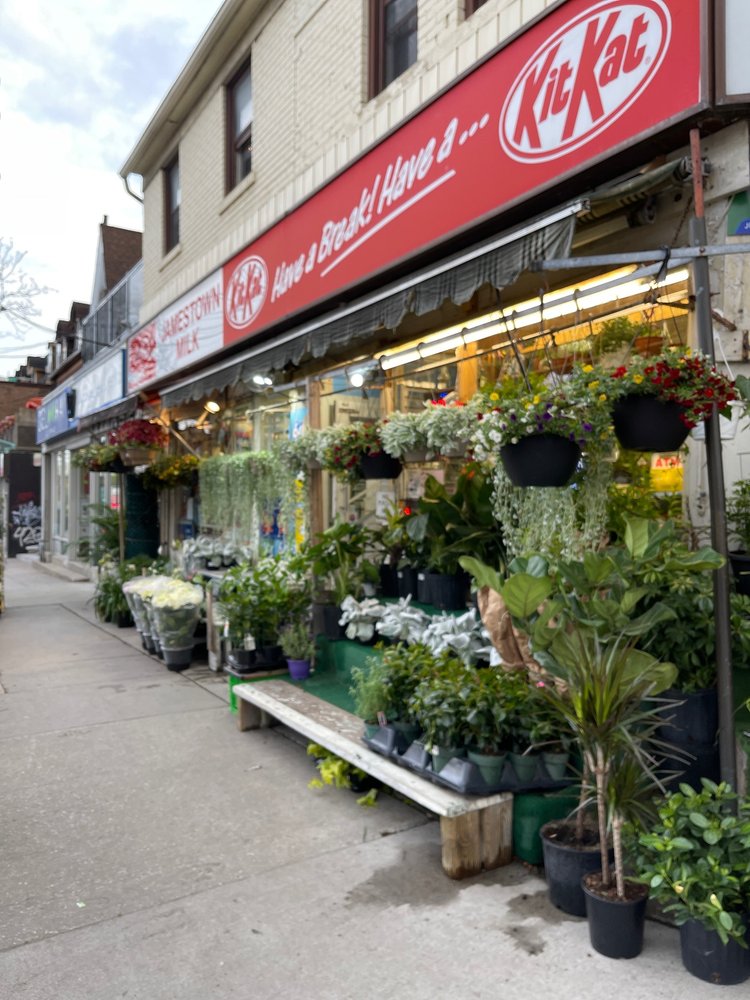 JAMESTOWN MILK - Updated April 2025 - 26 Photos - 592 Parliament Street ...