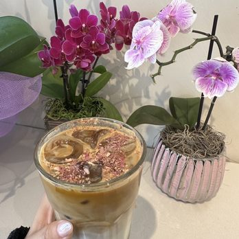 SIPP COFFEE HOUSE - Updated November 2024 - 136 Photos & 59 Reviews ...