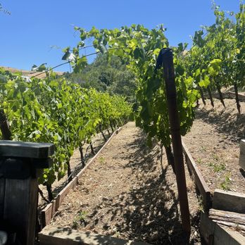 CAPTAIN VINEYARDS - Updated October 2025 - 125 Photos & 87 Reviews ...