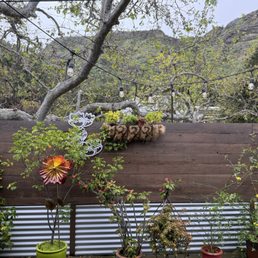 XACALLI KITCHEN - Updated December 2025 - 360 Photos & 219 Reviews ...