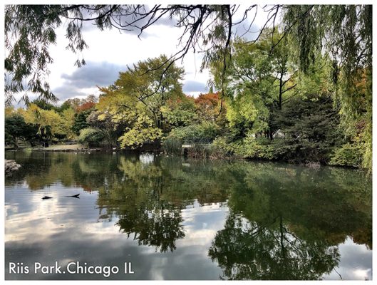 CHICAGO PARK DISTRICT - RIIS PARK - 44 Photos & 13 Reviews - Parks ...